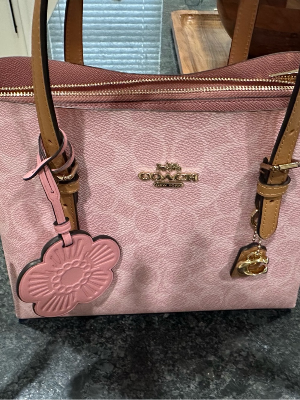Coach | Bags | Coach Outlet Mollie Tote Bag 25 In Signature Canvas With ...